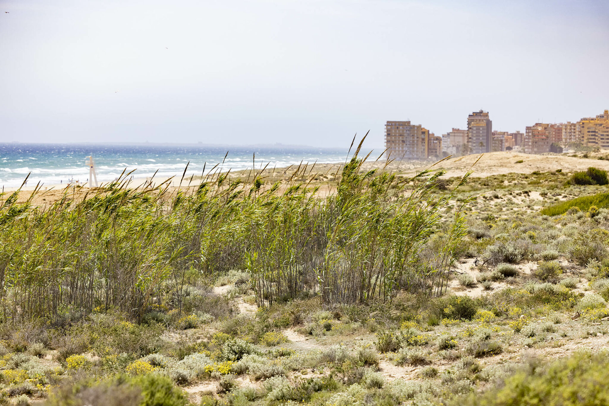 BEACH, El Altet, Urbanova – Gay – Alicante