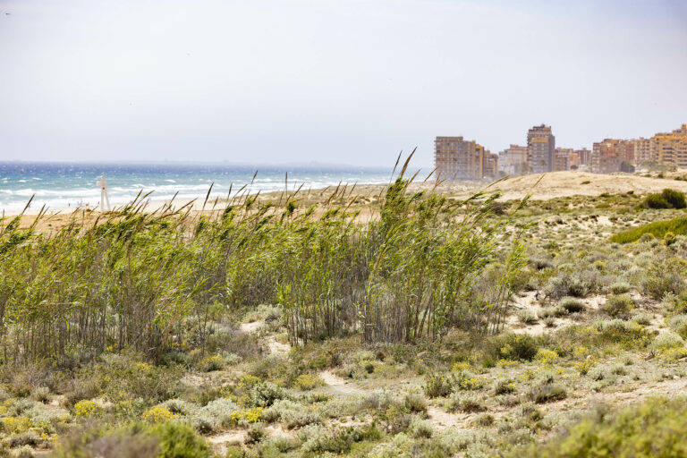 BEACH, El Altet, Urbanova – Gay – Alicante